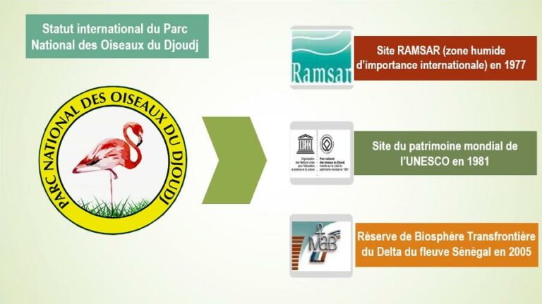 Présentation du parc - 🦜 Bienvenue au Parc National Djoudj 🦜